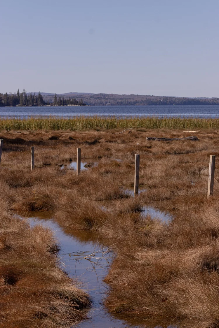 Holbrook Island State Park — My Maine