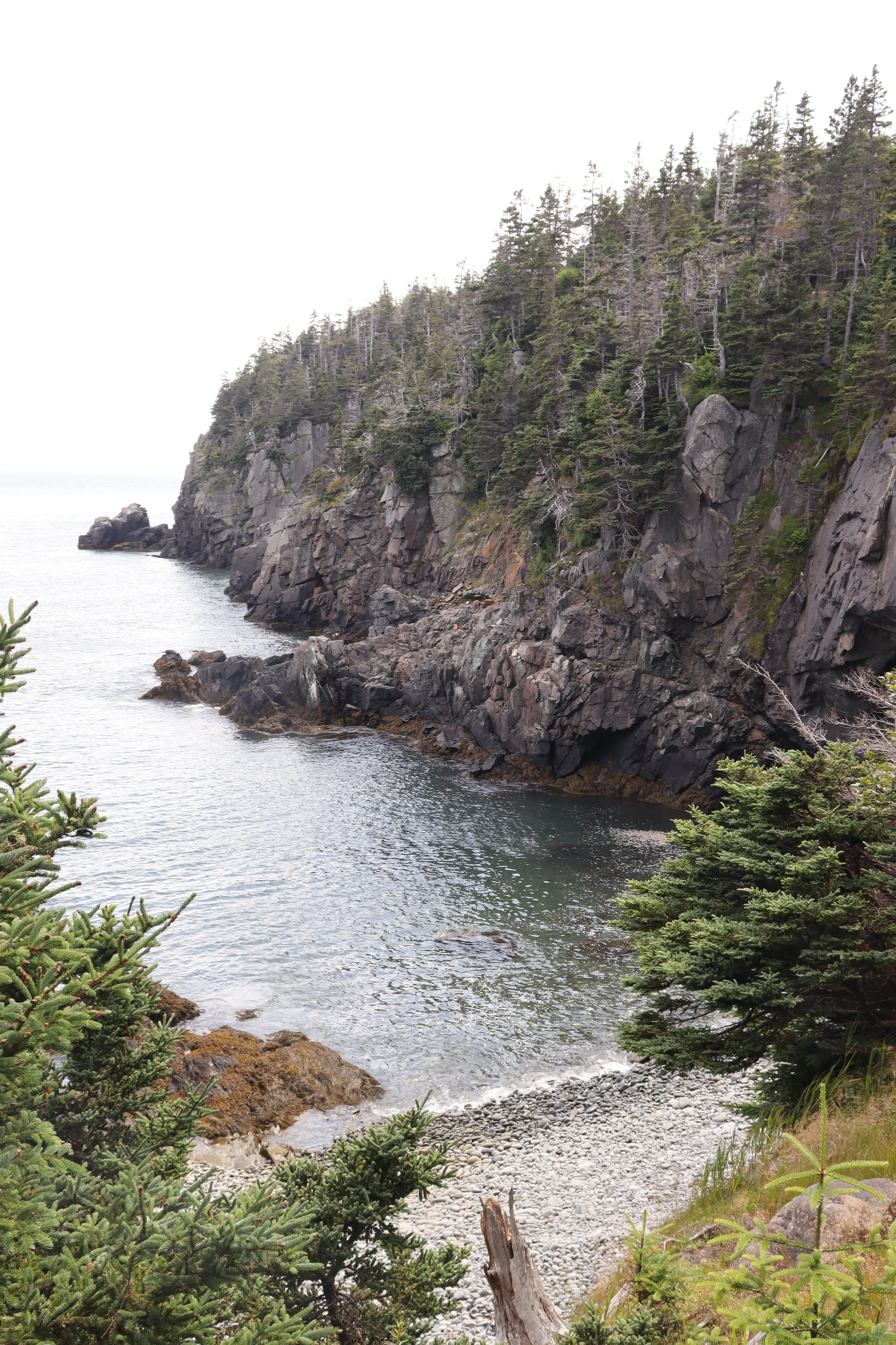 Quoddy Head State Park — My Maine