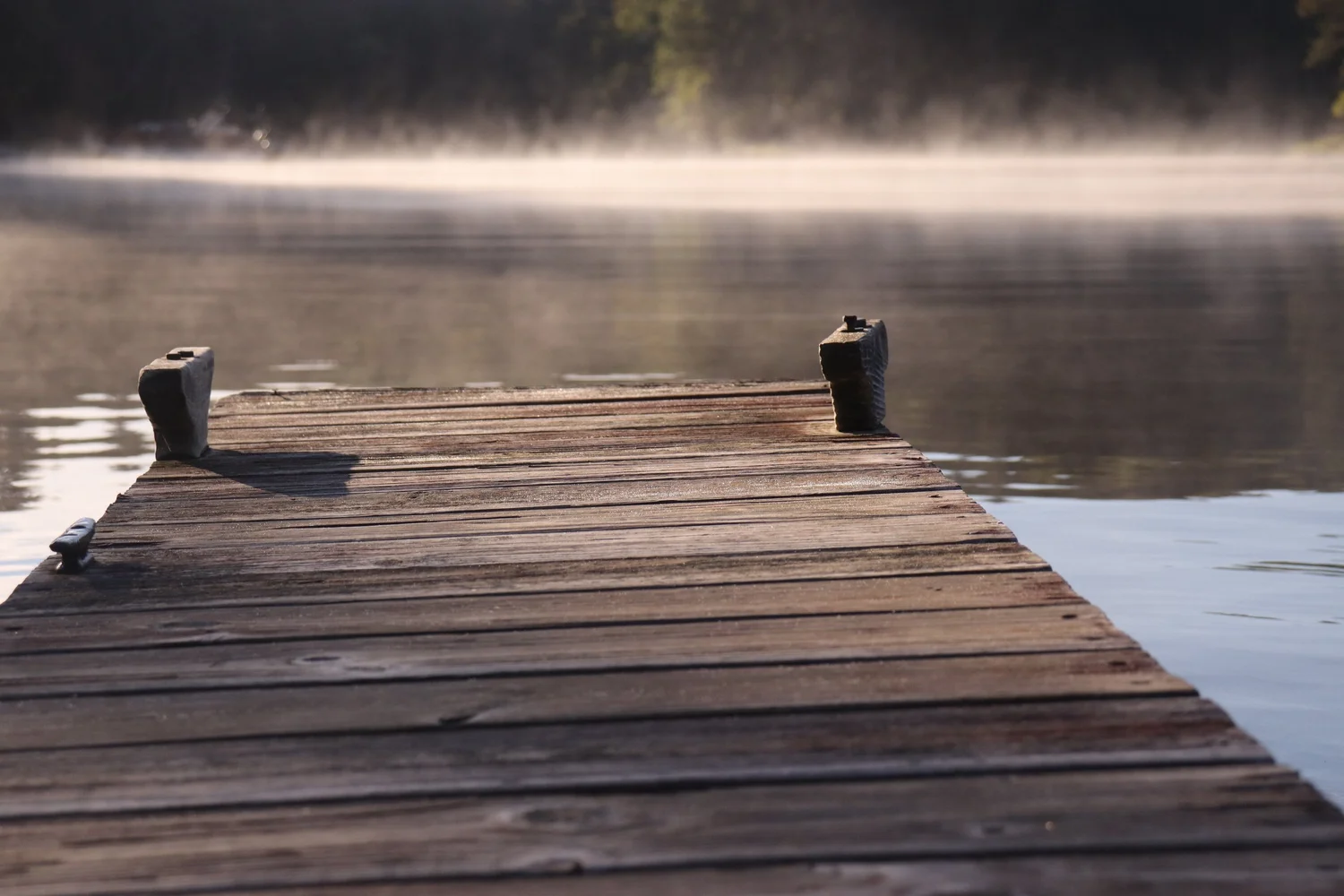 Moose Point State Park — My Maine