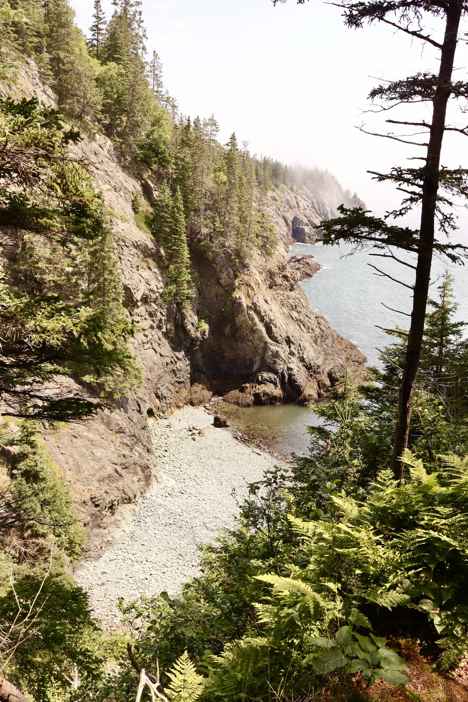 Cutler Coast Public Land — My Maine