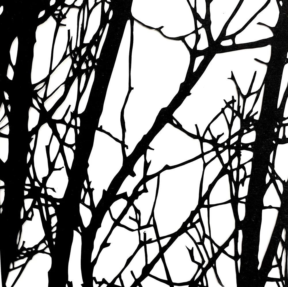Tree Branch Stencil