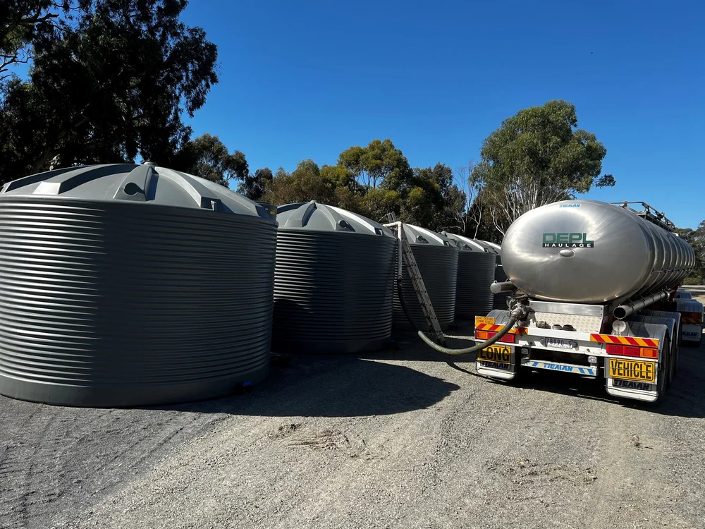 Broadacre Cropping — Rhynie Pastoral