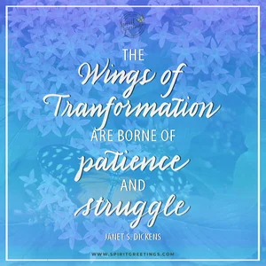 Five Beautiful Spiritual Quotes about Transformation — Spirit Greetings®