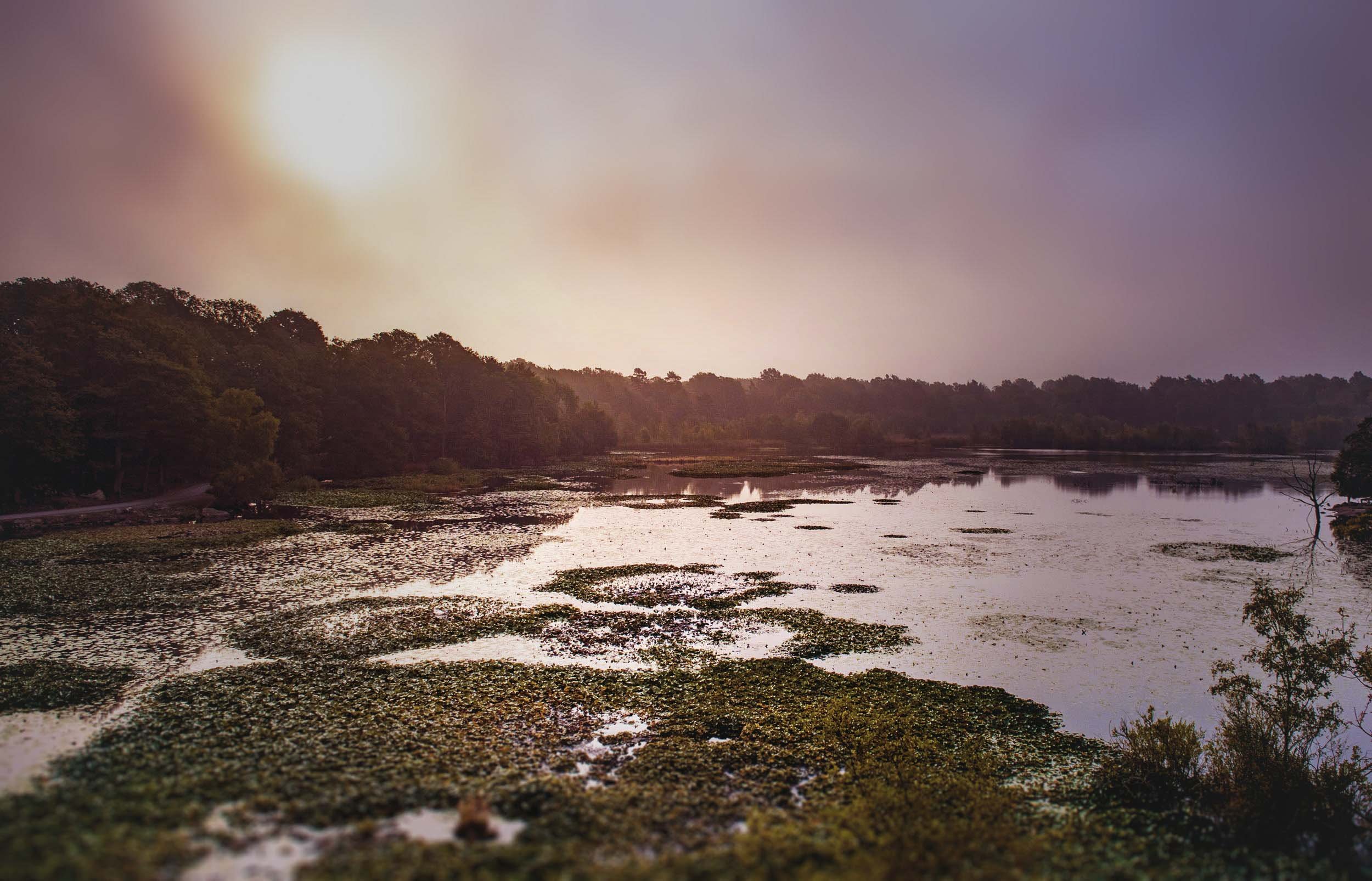 Eriksberg Hotel & Nature Reserve