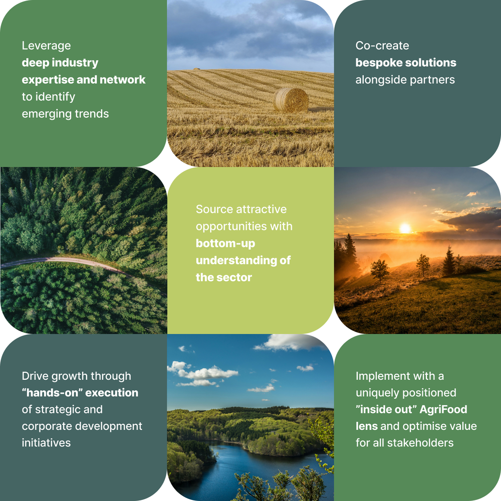 About Us — Capital Code