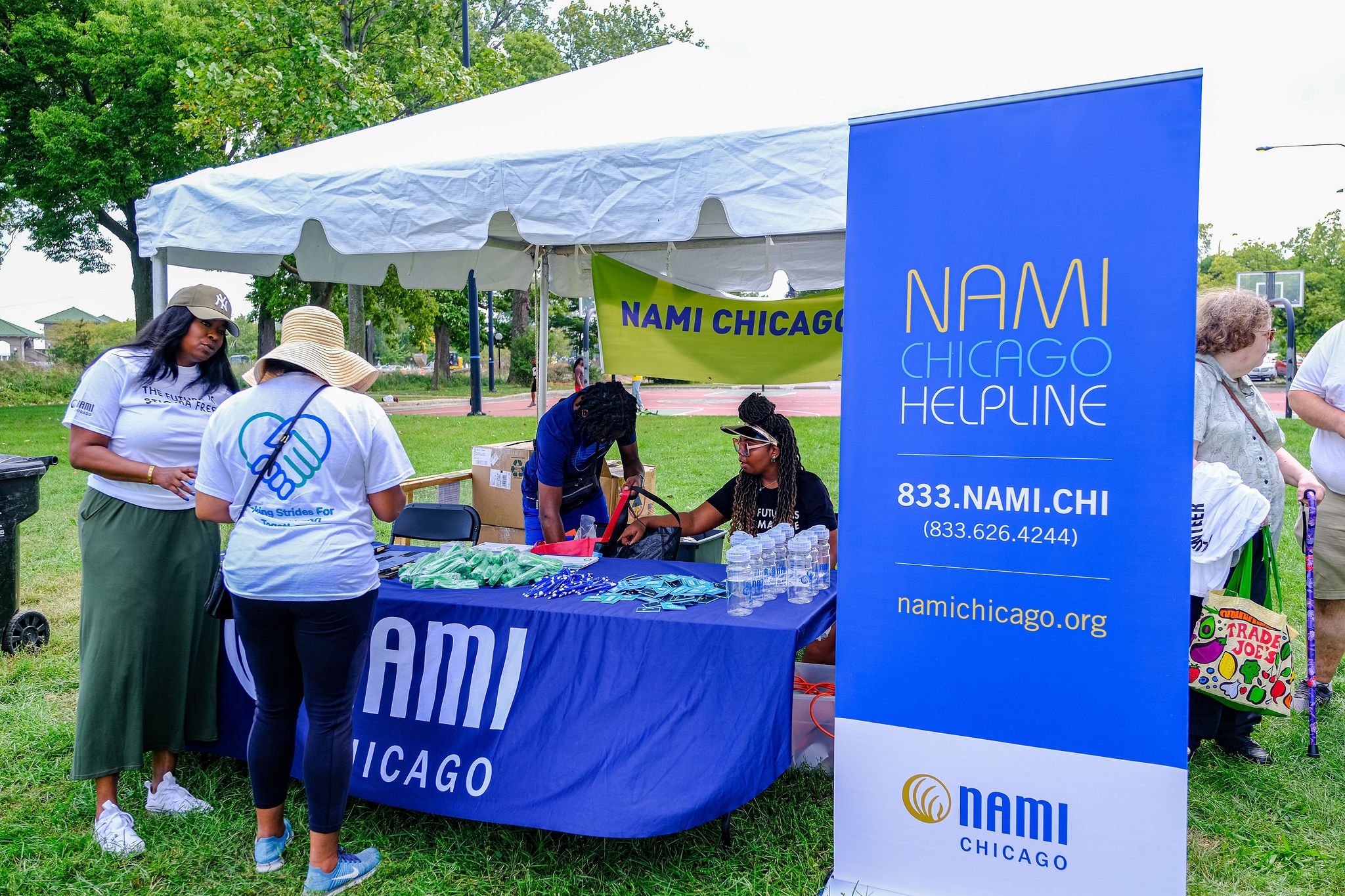 NAMIWalks Chicago — NAMI Chicago