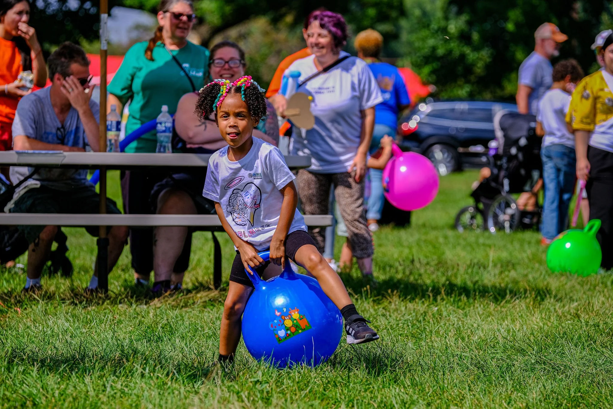 NAMIWalks Chicago — NAMI Chicago