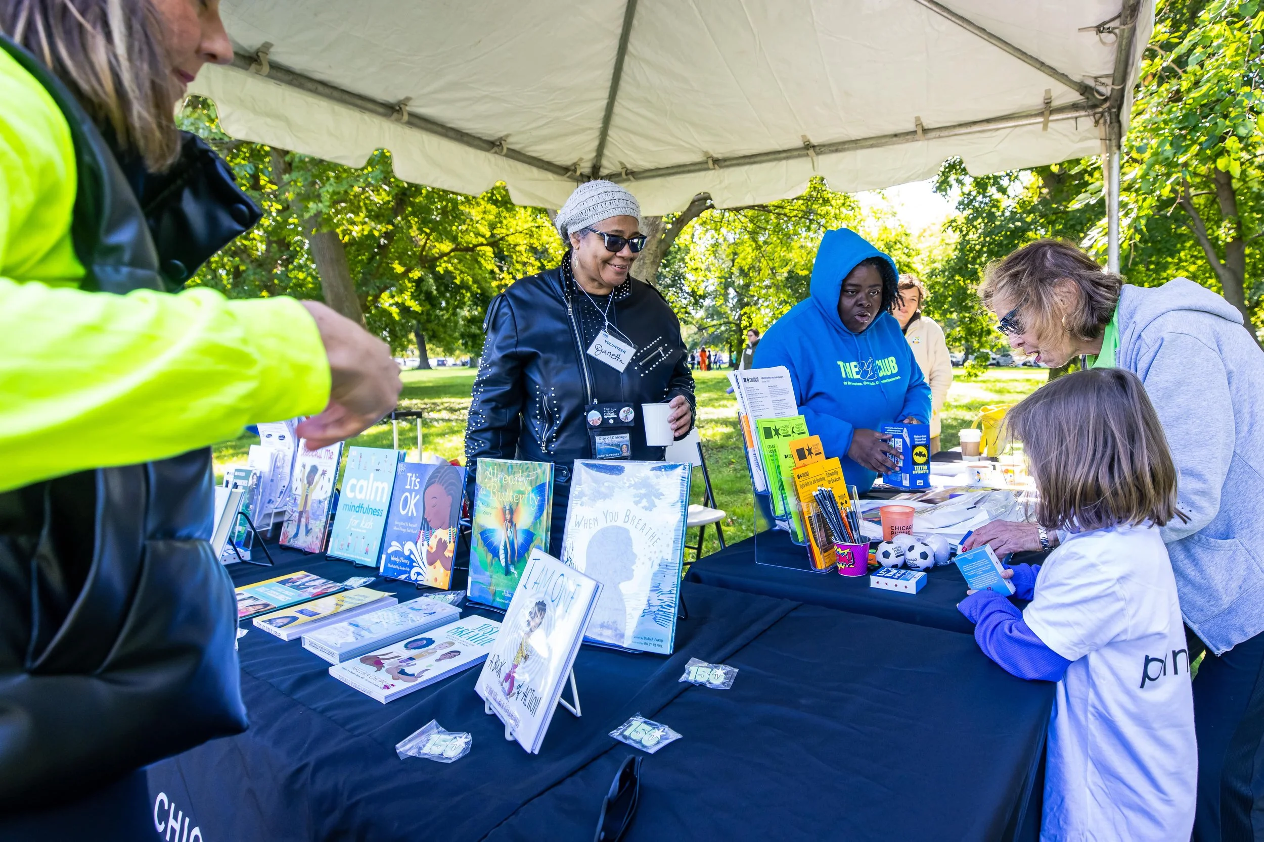 NAMIWalks Chicago — NAMI Chicago