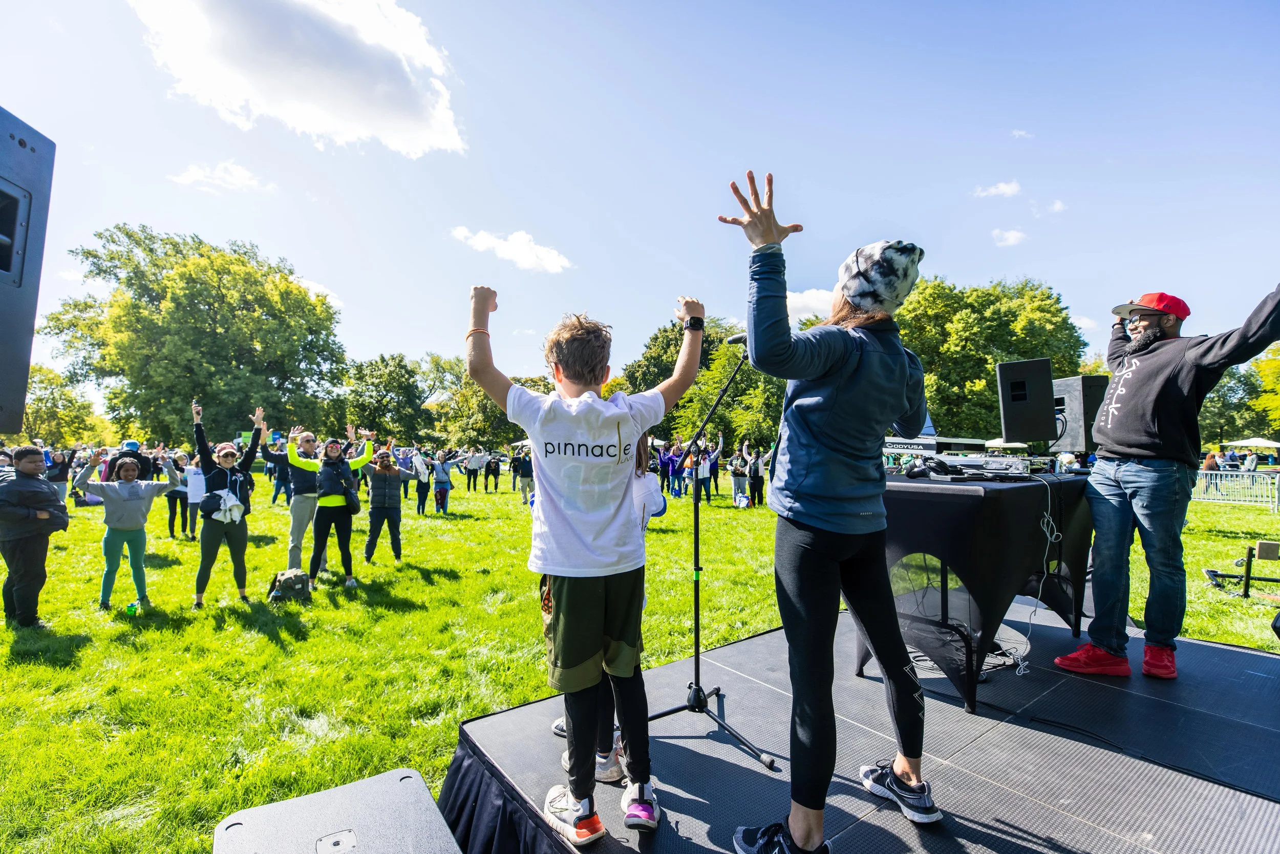 NAMIWalks Chicago — NAMI Chicago