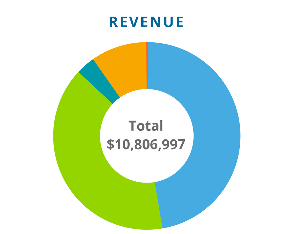 Annual Report 2023 — NAMI Chicago