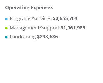 Annual Report 2024 — NAMI Chicago