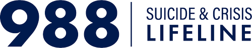 988 — NAMI Chicago