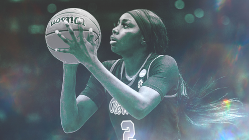 Diamonds in the rough: The New York Liberty draft Marquesha Davis, four ...