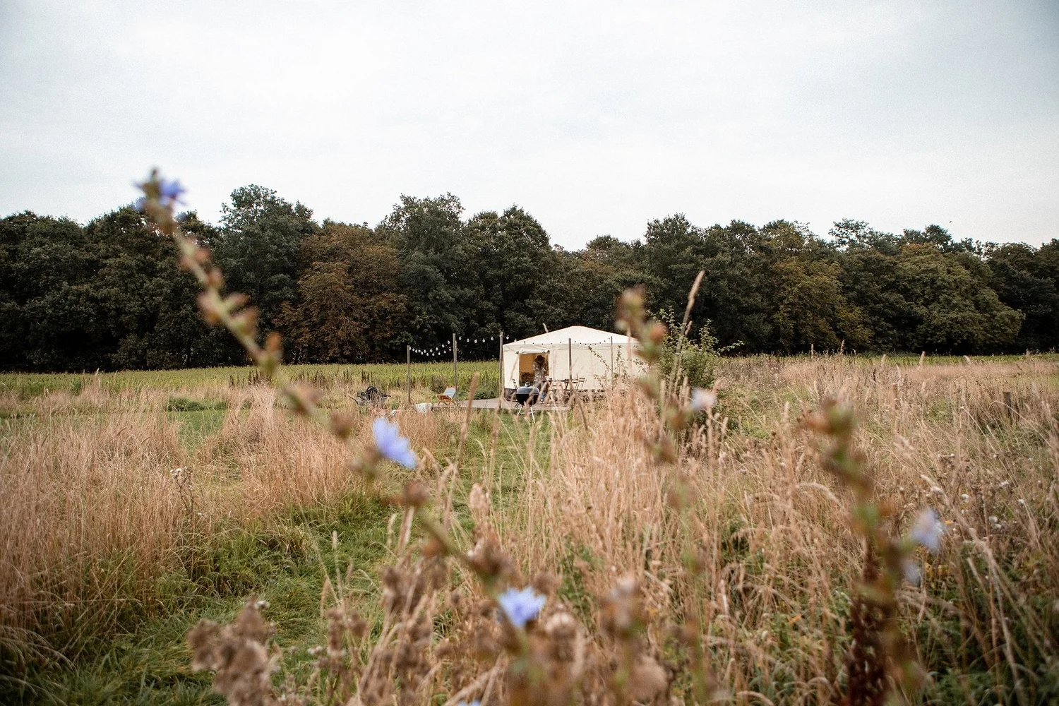 Yurt & Bell Tent Glamping | On London's Doorstep | Home Farm Glamping