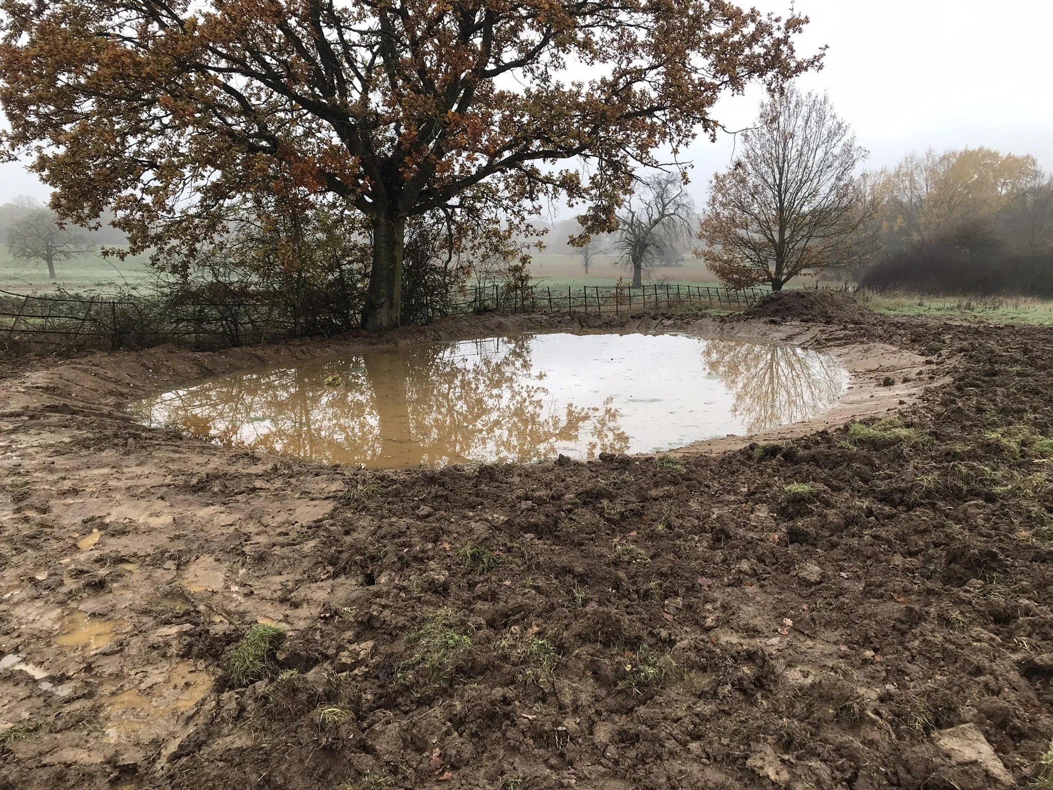 We believe in ghosts at Home Farm… Ghost Ponds that is | Home Farm Glamping