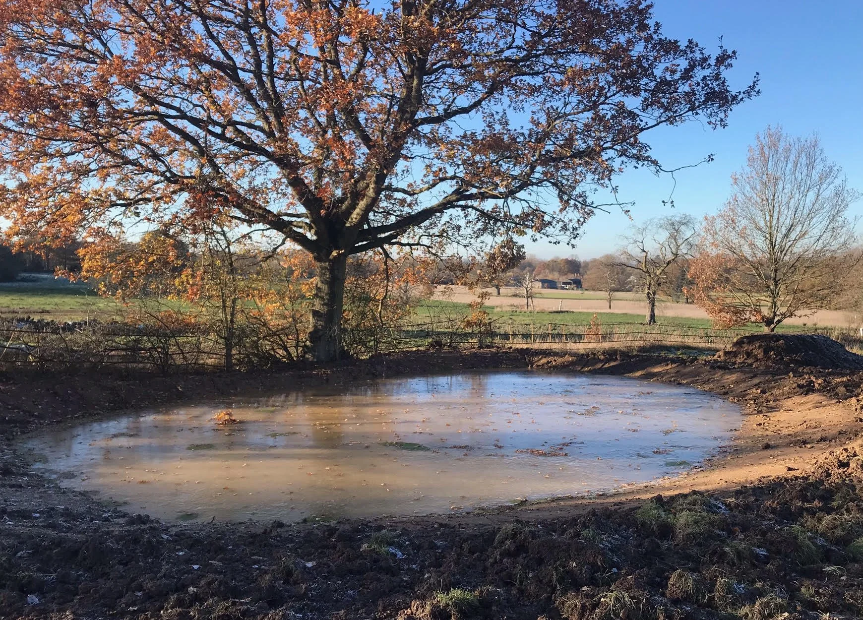 We believe in ghosts at Home Farm… Ghost Ponds that is | Home Farm Glamping