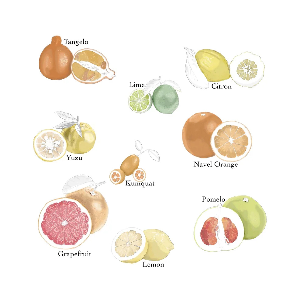 Citric Acid Fruits