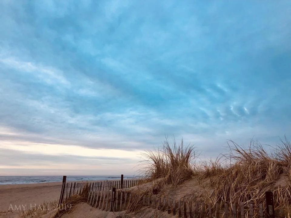 Bradley Beach Business Community Alliance