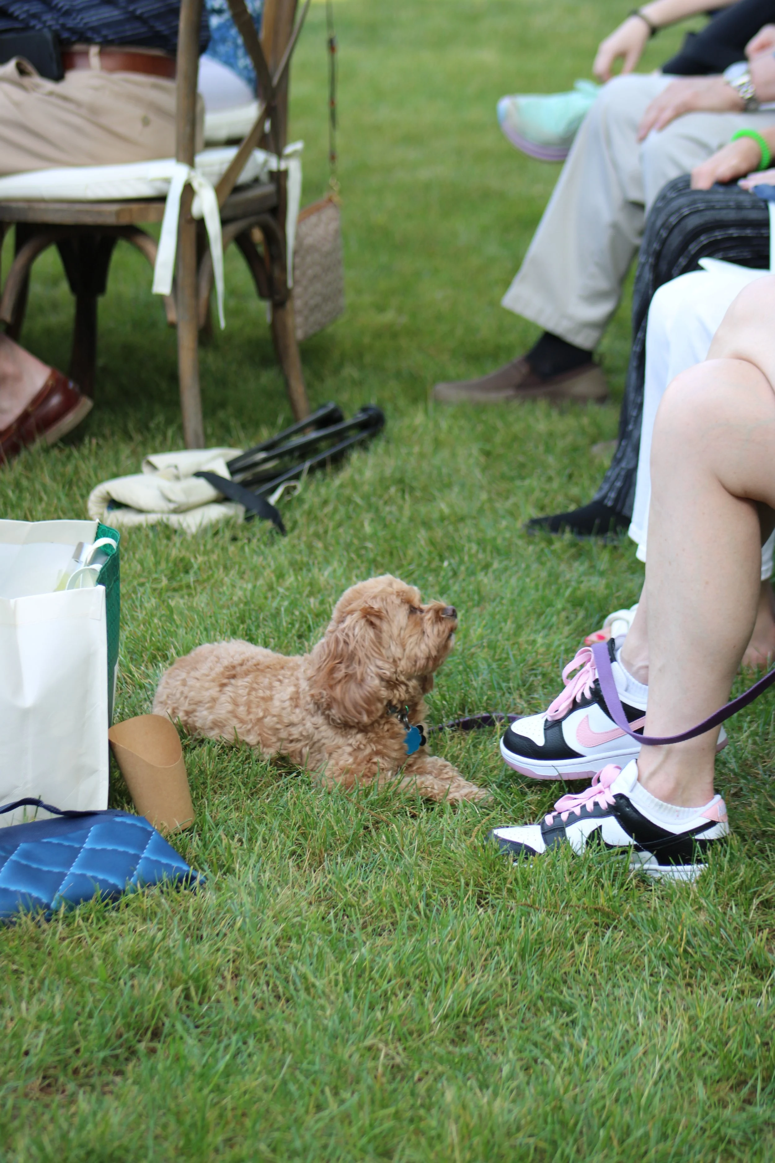 Celebrating with Keel: Snapshots from first-ever Jags in the Park event ...