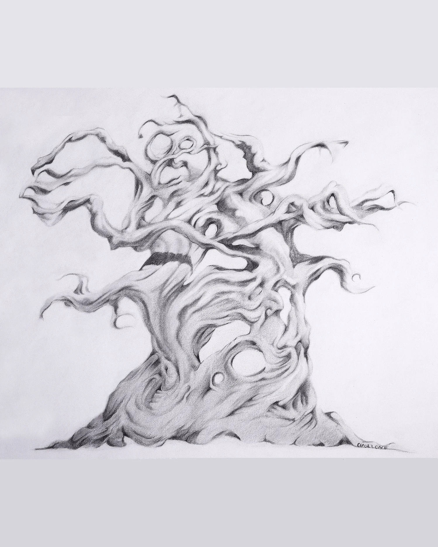 Twisted Tree Drawing