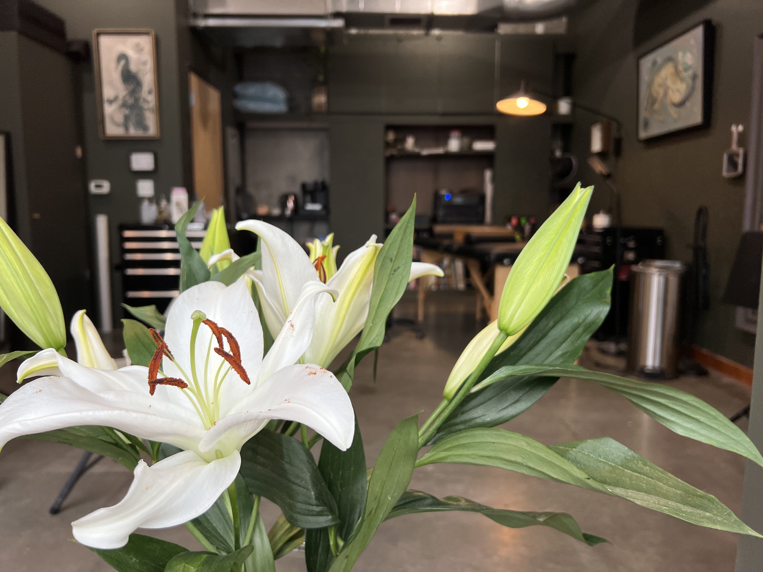 About — bloodroot tattoo