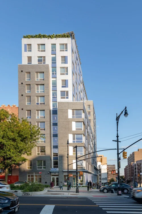 2050 Grand Concourse — Magnusson Architecture and Planning, PC