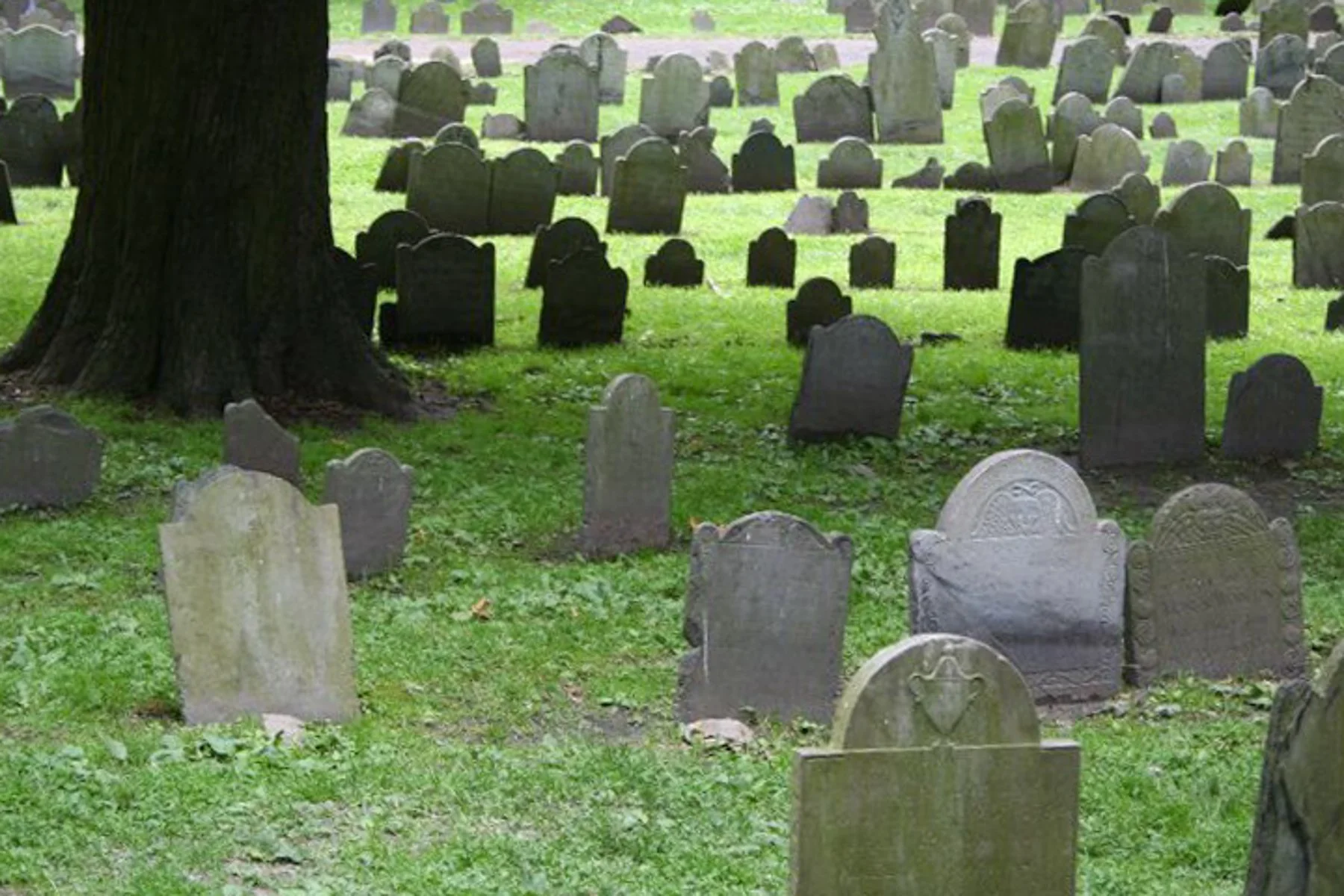 The Amiable Traveler - A Three-Day, Must-See Itinerary to Boston ...