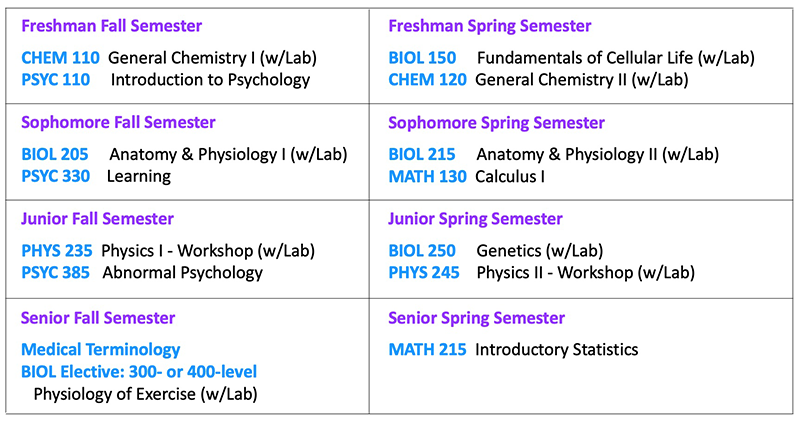 Physical Therapist — Skeletal Muscle Biology Lab