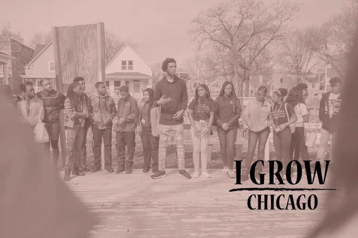 Women Unite! Work, Case Studies, Portfolio, and Training Overview ...