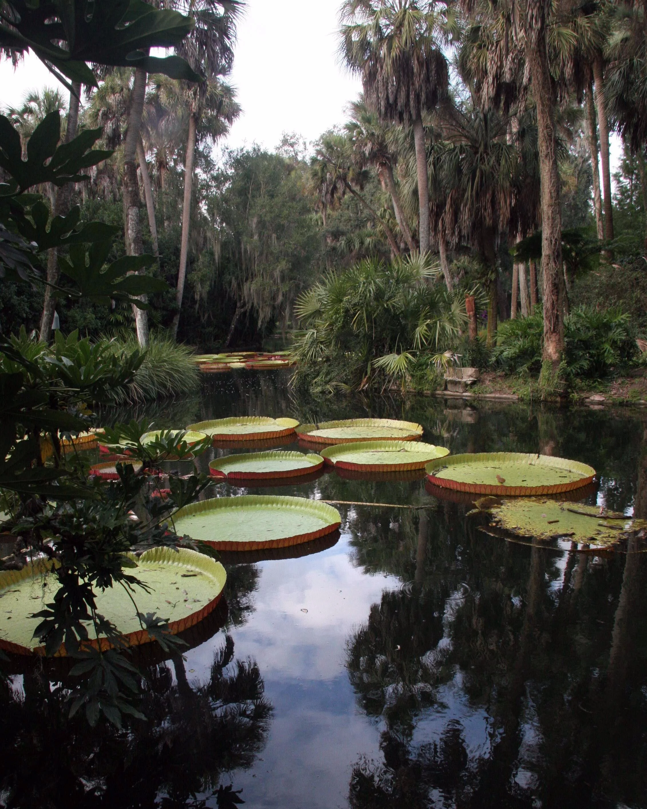 Old Florida - A Magic You Only Know If You Know - Kitsch, Roadside ...