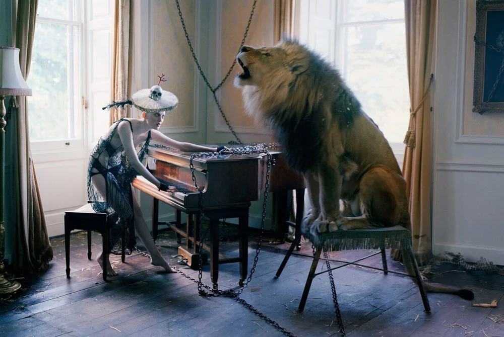 Tim Walker's Photographs Are Straight Out Of Dreams — Firefly and Finch