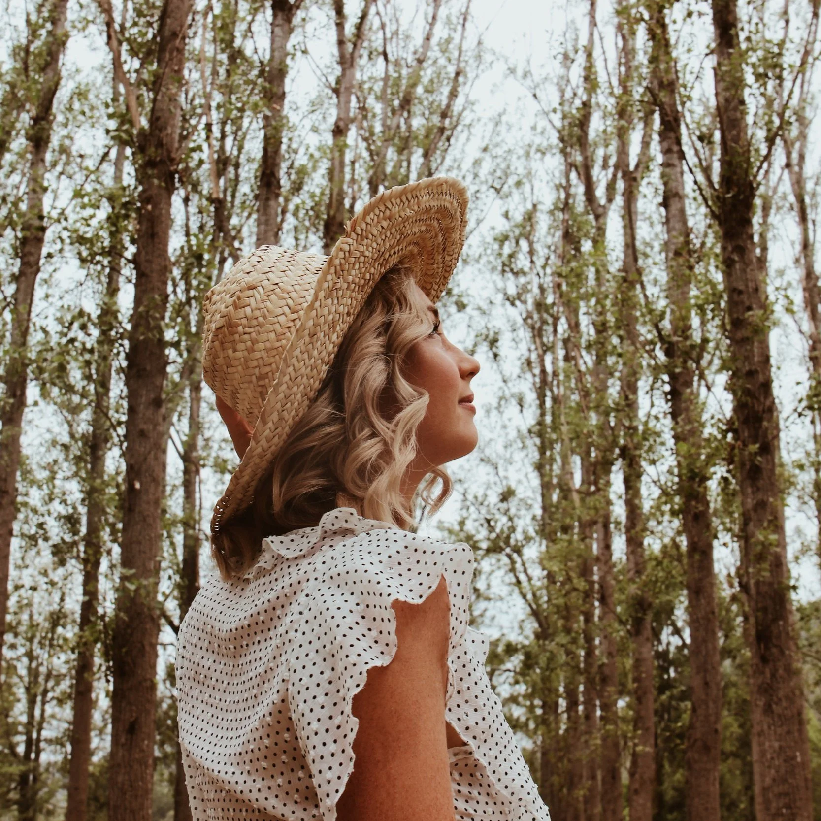 Shop — Jess Rodgers