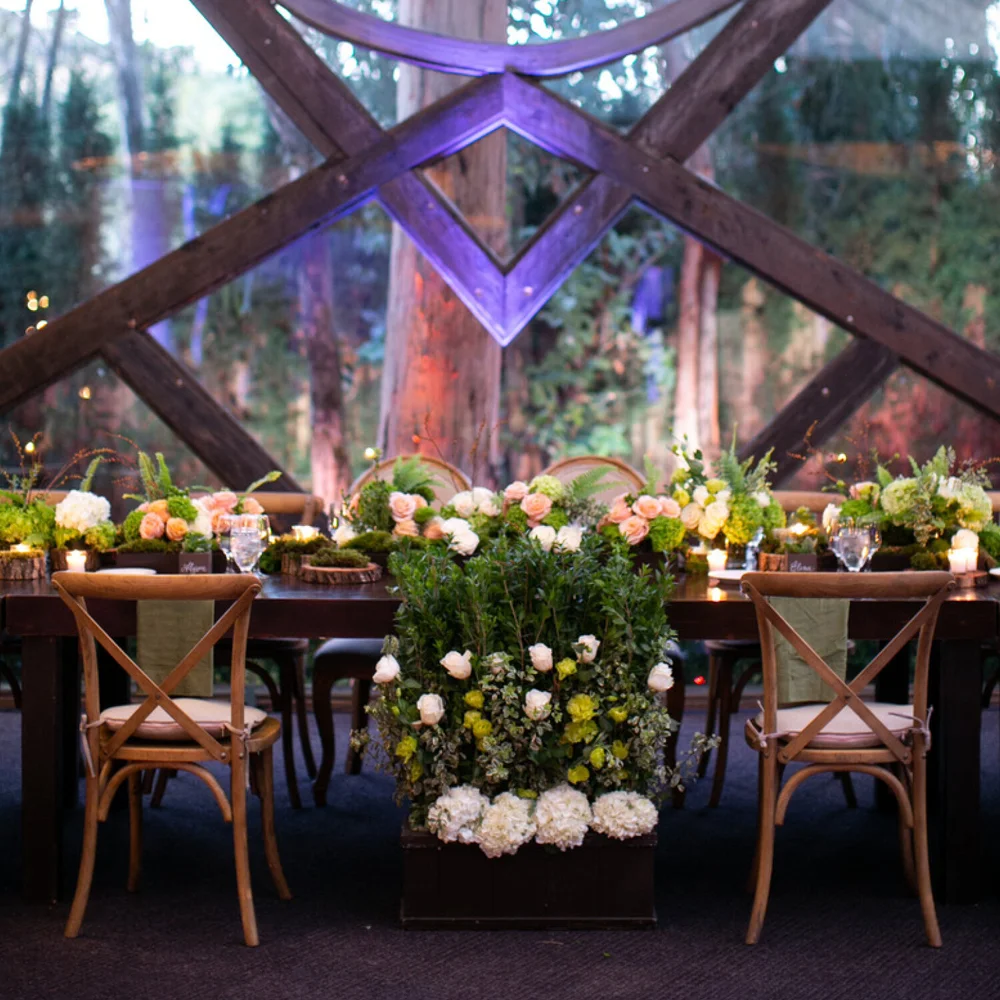 Look — Alfred House Productions