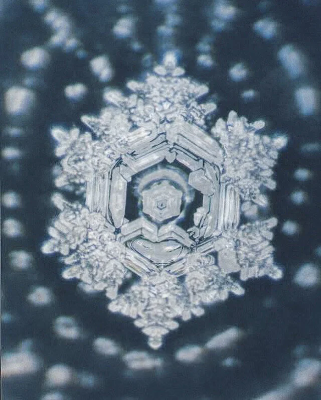 The Power of Words and Masaru Emoto’s Experiments on Water — Welluvia