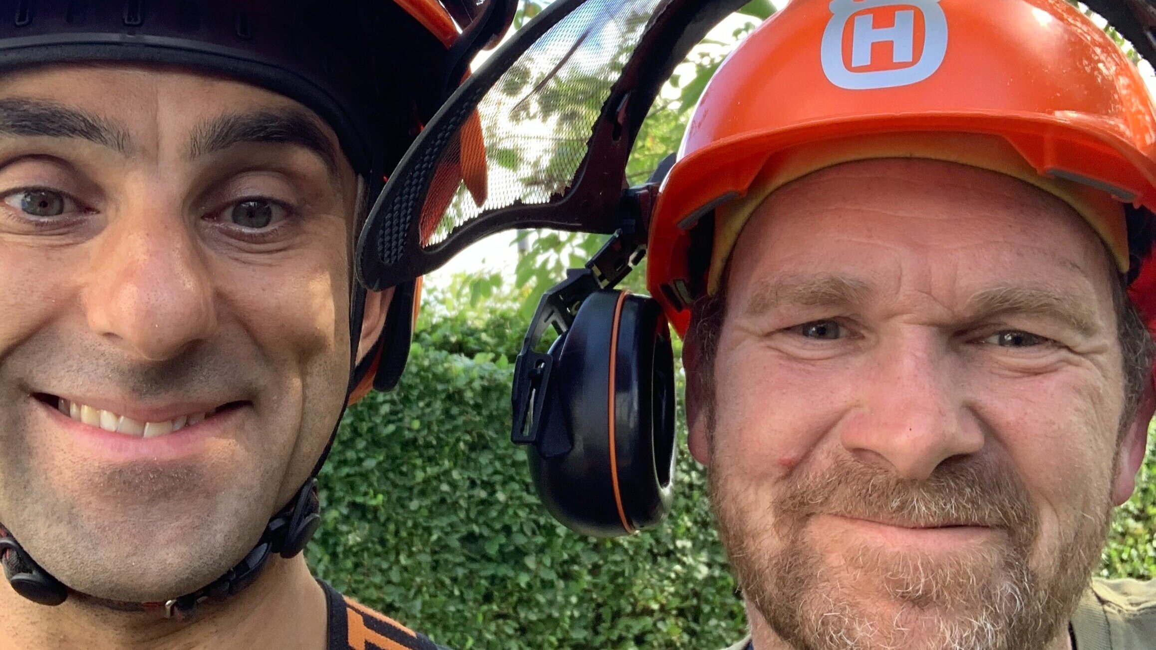 Tree Surgeon Glasgow | Tree Surgeons Glasgow West End