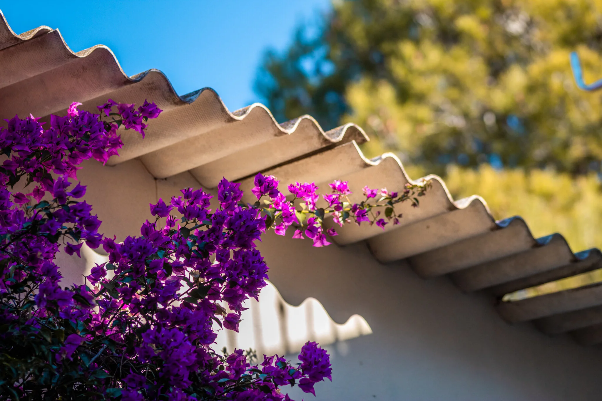 30 Bedroom Holiday Villa Valencia | Infinity Villa Valencia | Spain ...
