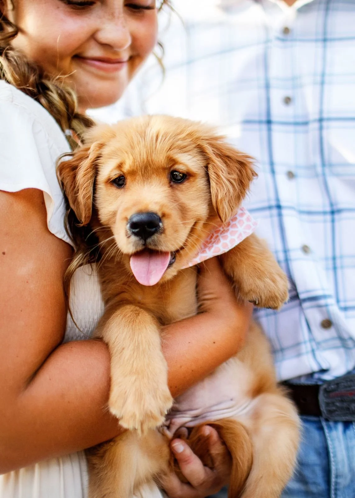Rock Haven Retrievers