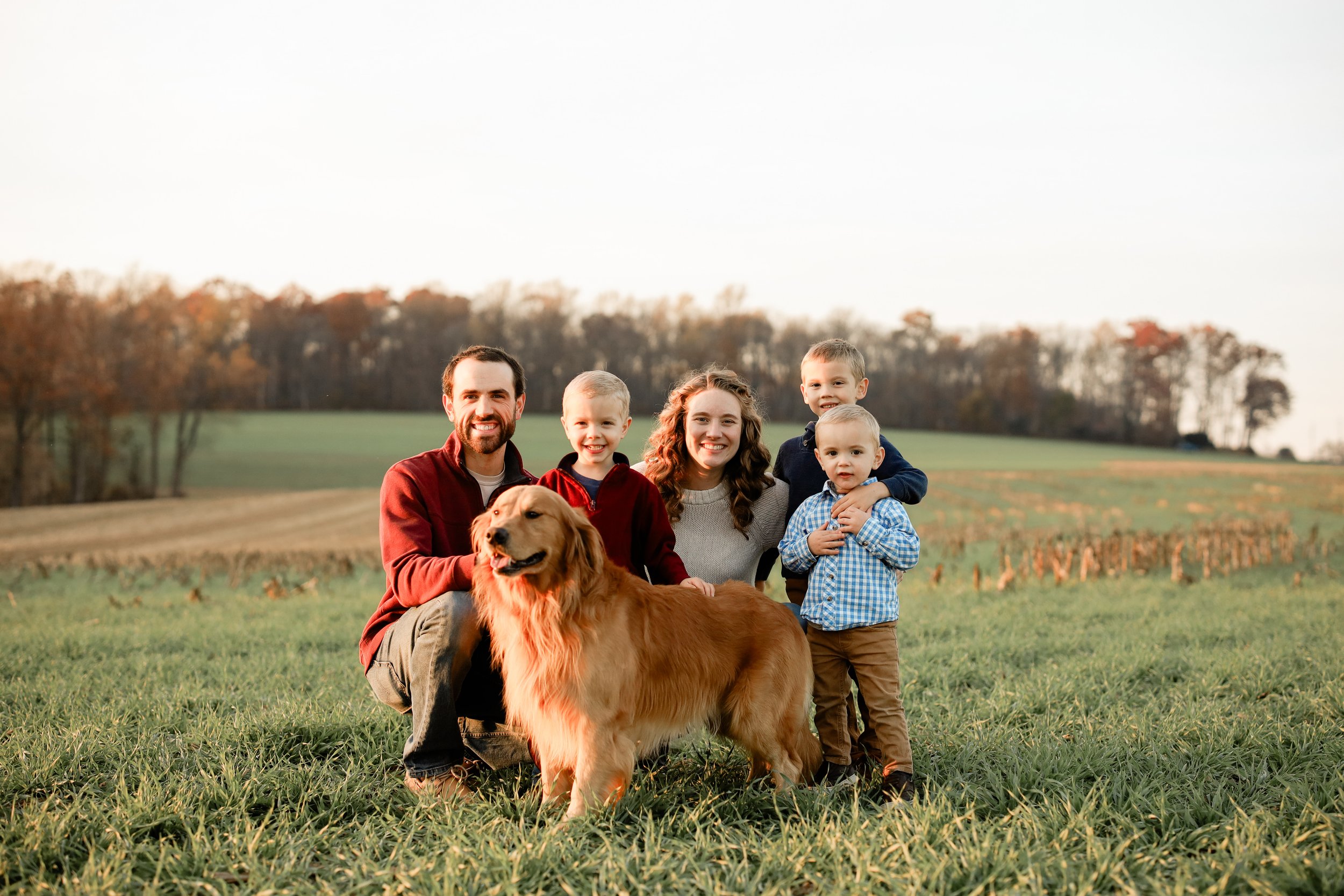 Rock Haven Retrievers