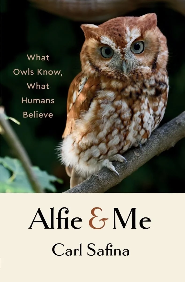 Alfie & Me — Carl Safina