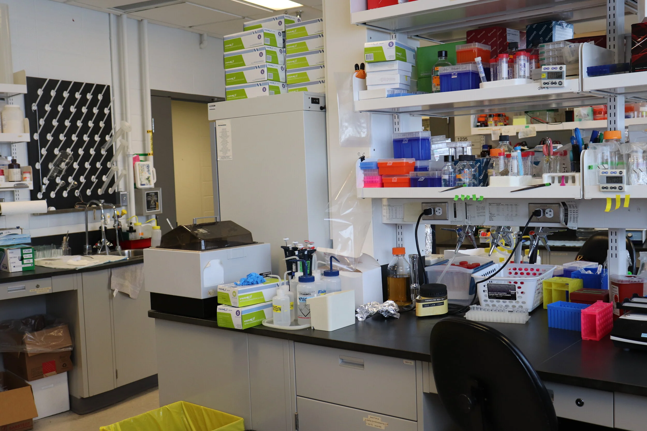 About us — Cuello Lab