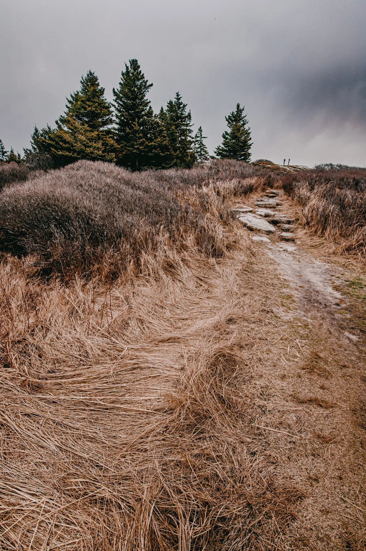 NATHAN BUTLER | STILL & MOTION