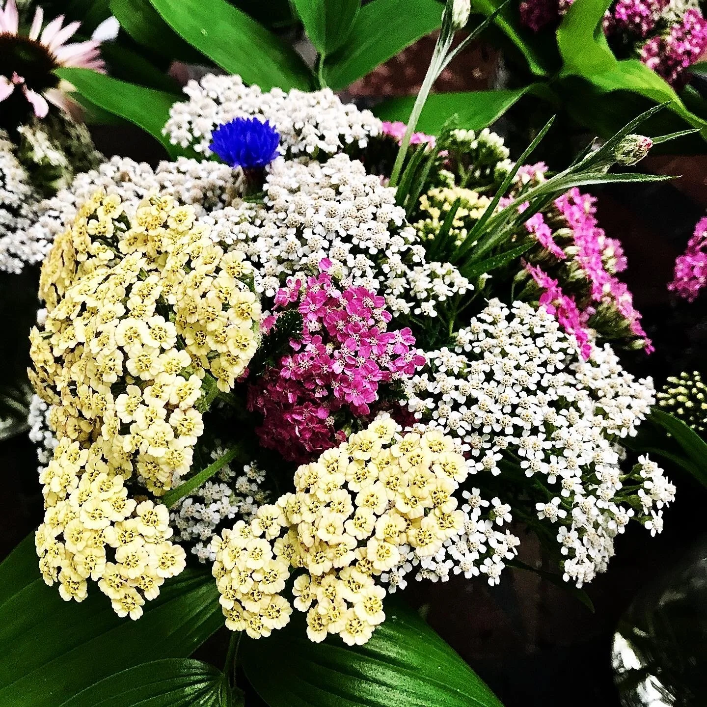 Benson Bounty Omaha, NE