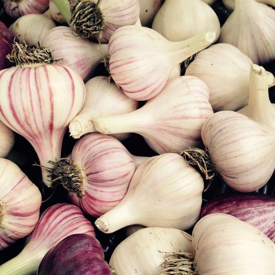 Benson Bounty Omaha, NE