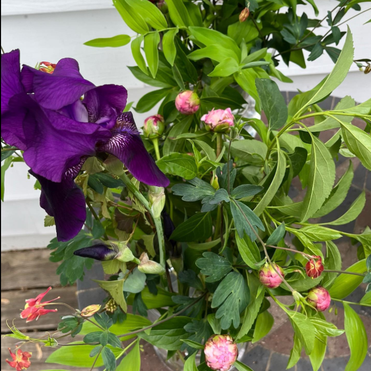 Workshops in Omaha, NE — Benson Bounty-Omaha, NE