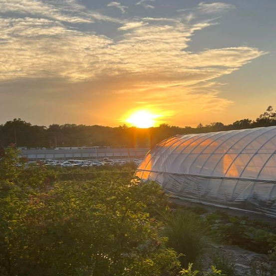 Workshops in Omaha, NE — Benson Bounty-Omaha, NE