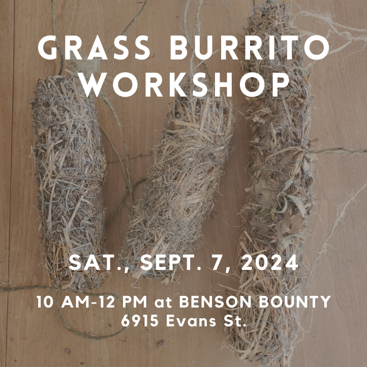 Workshops in Omaha, NE — Benson Bounty-Omaha, NE