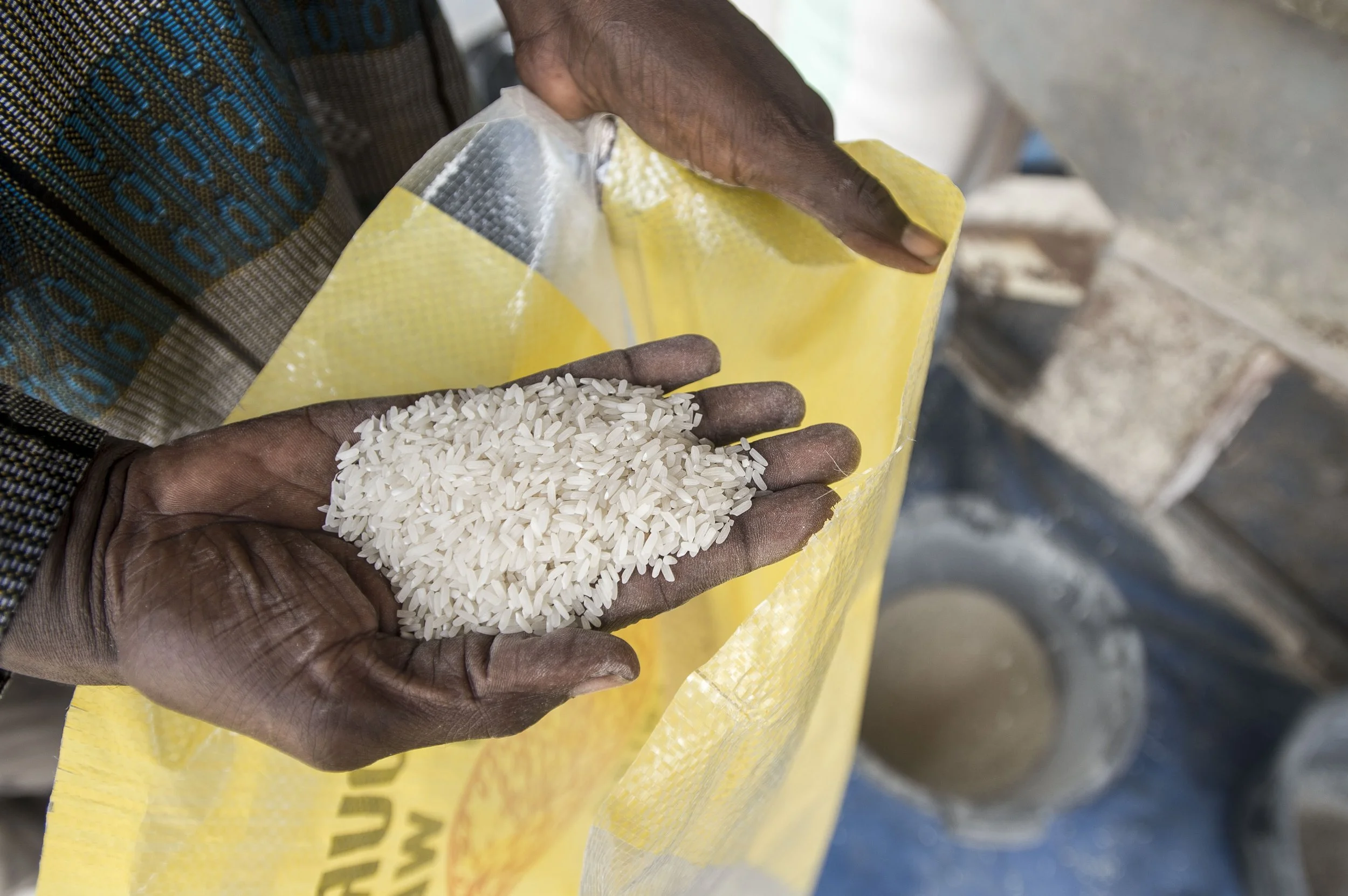 News, Stories, & Events