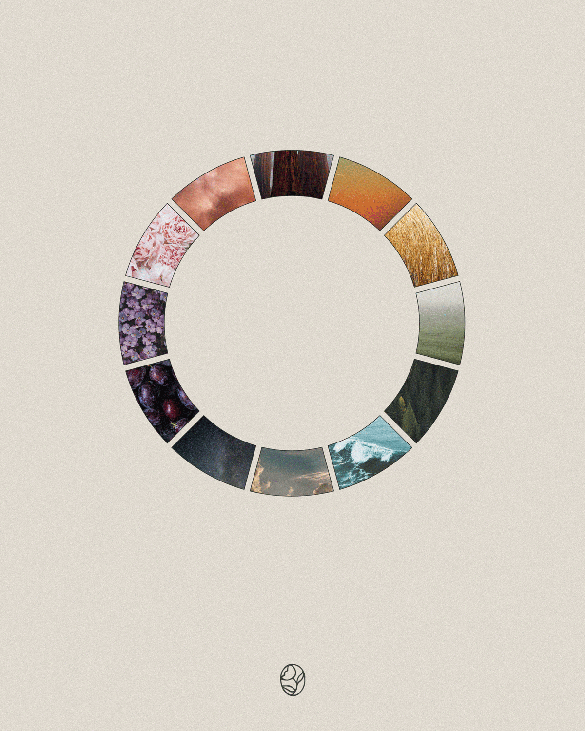 Color Palette Library — State of Sage