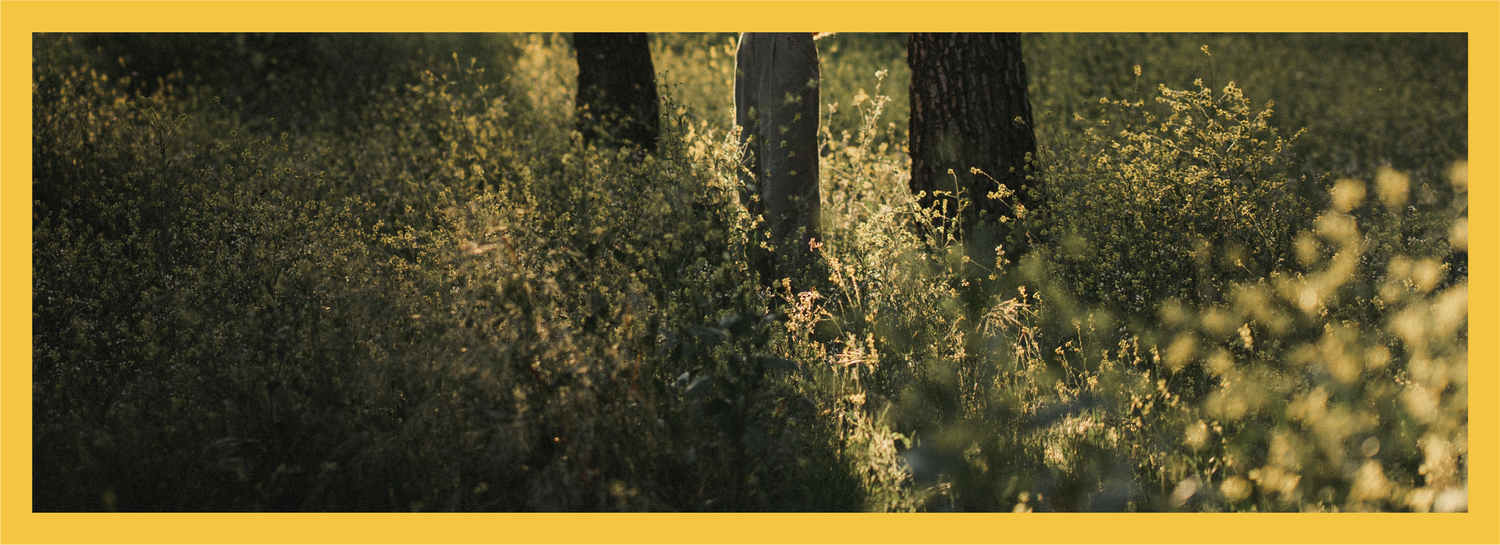 Brand Foundation Self-Discovery — State of Sage