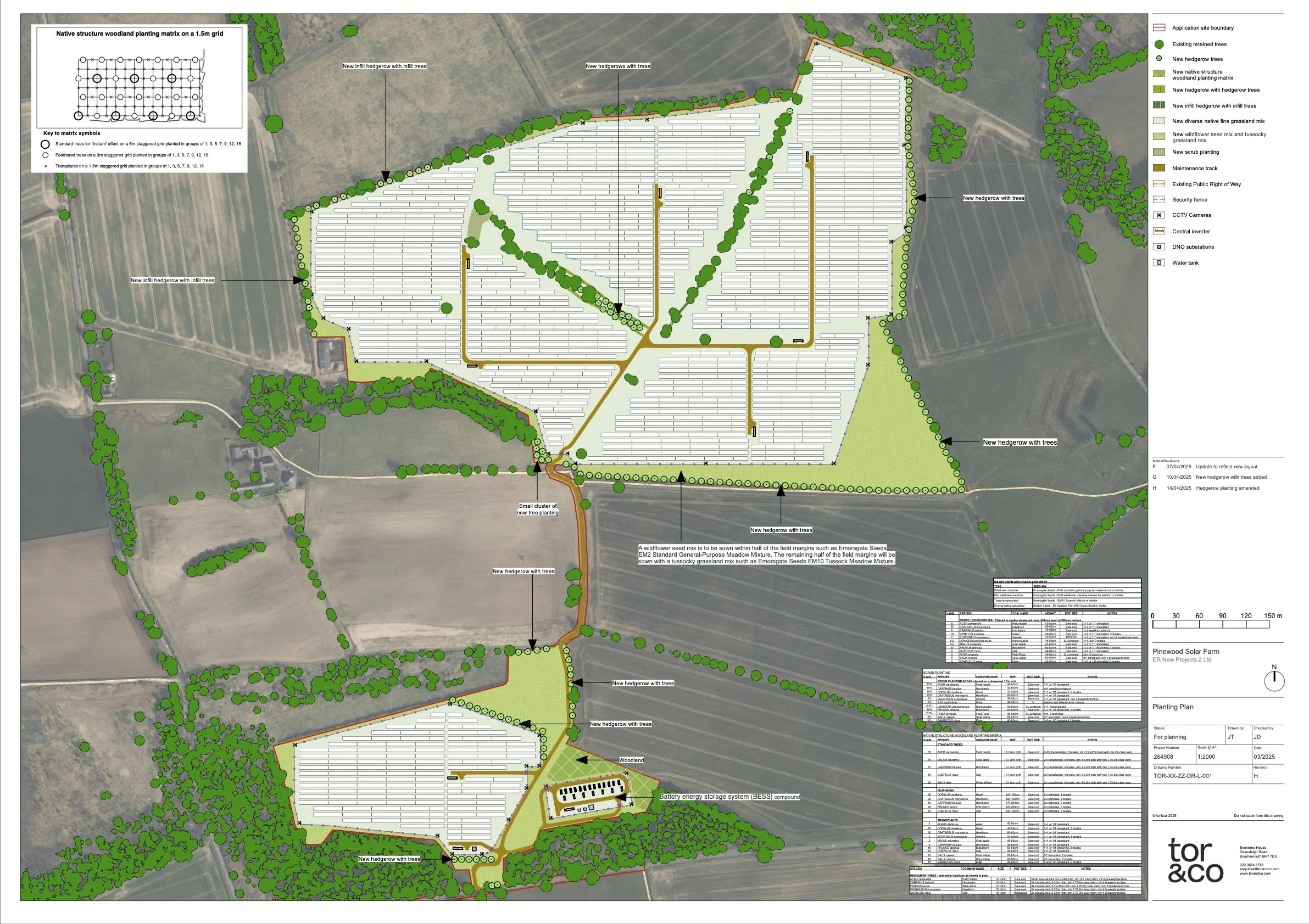 Pinewood solar farm — Eden Renewables